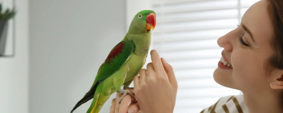5 Essential Tips for Maintaining Your Senior Bird's Health – Pet Servo