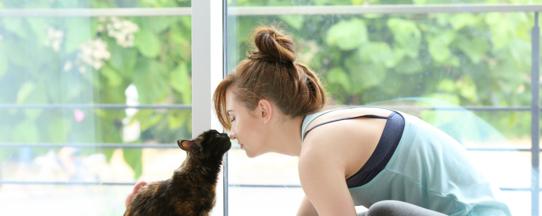 9 Ways to Show Your Cat Love Without Using Words – Pet Servo