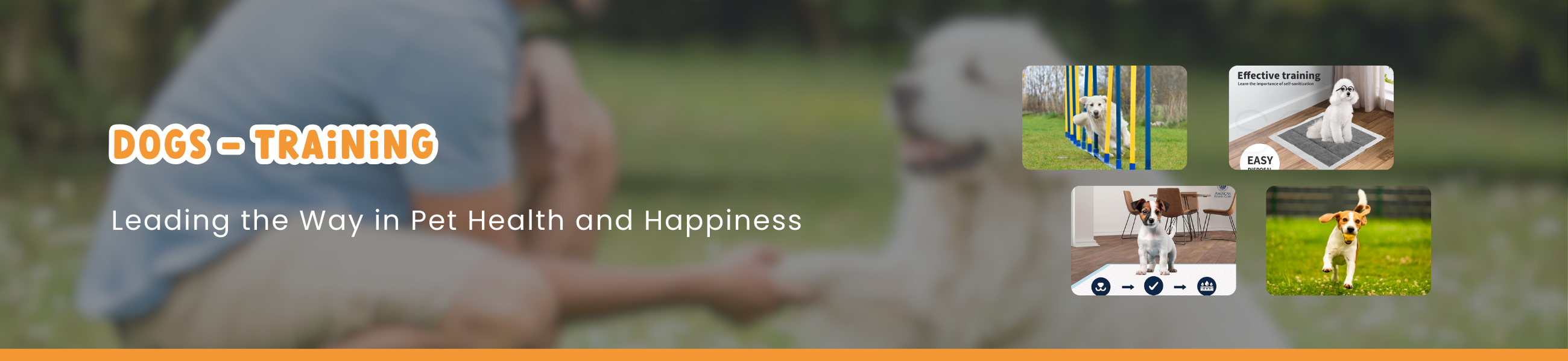 Buy Dog Training Products Online | Effective Training Aids at Pet Servo